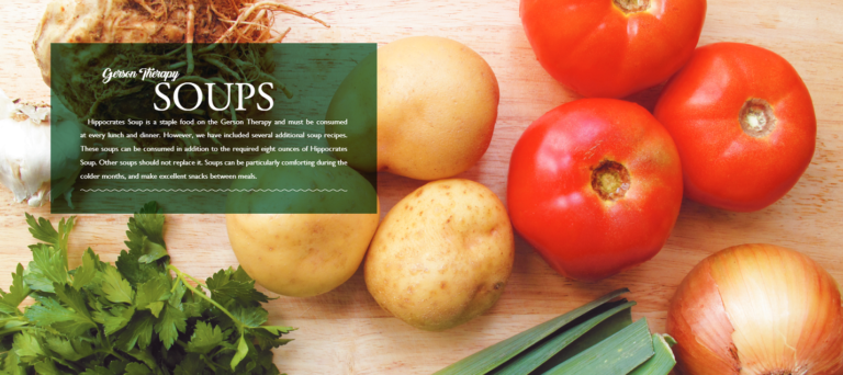 NEW Gerson Therapy Cookbook - Gerson Institute